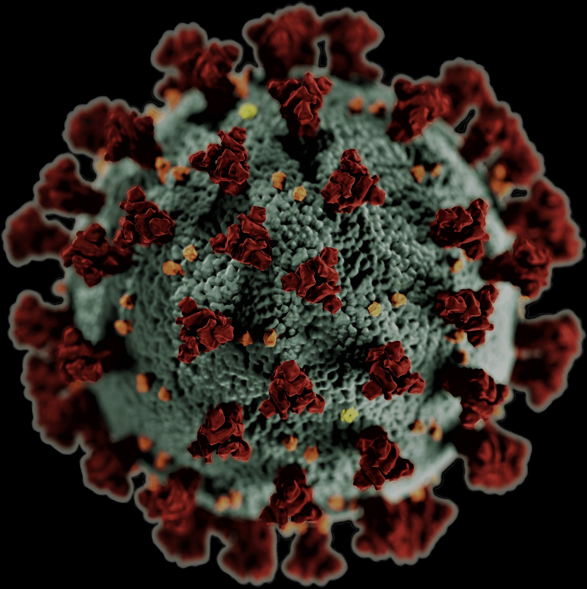 Terms of Use – RaDVaC